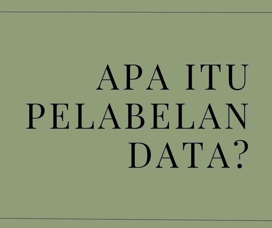 Apa itu Pelabelan Data – Cik Moon